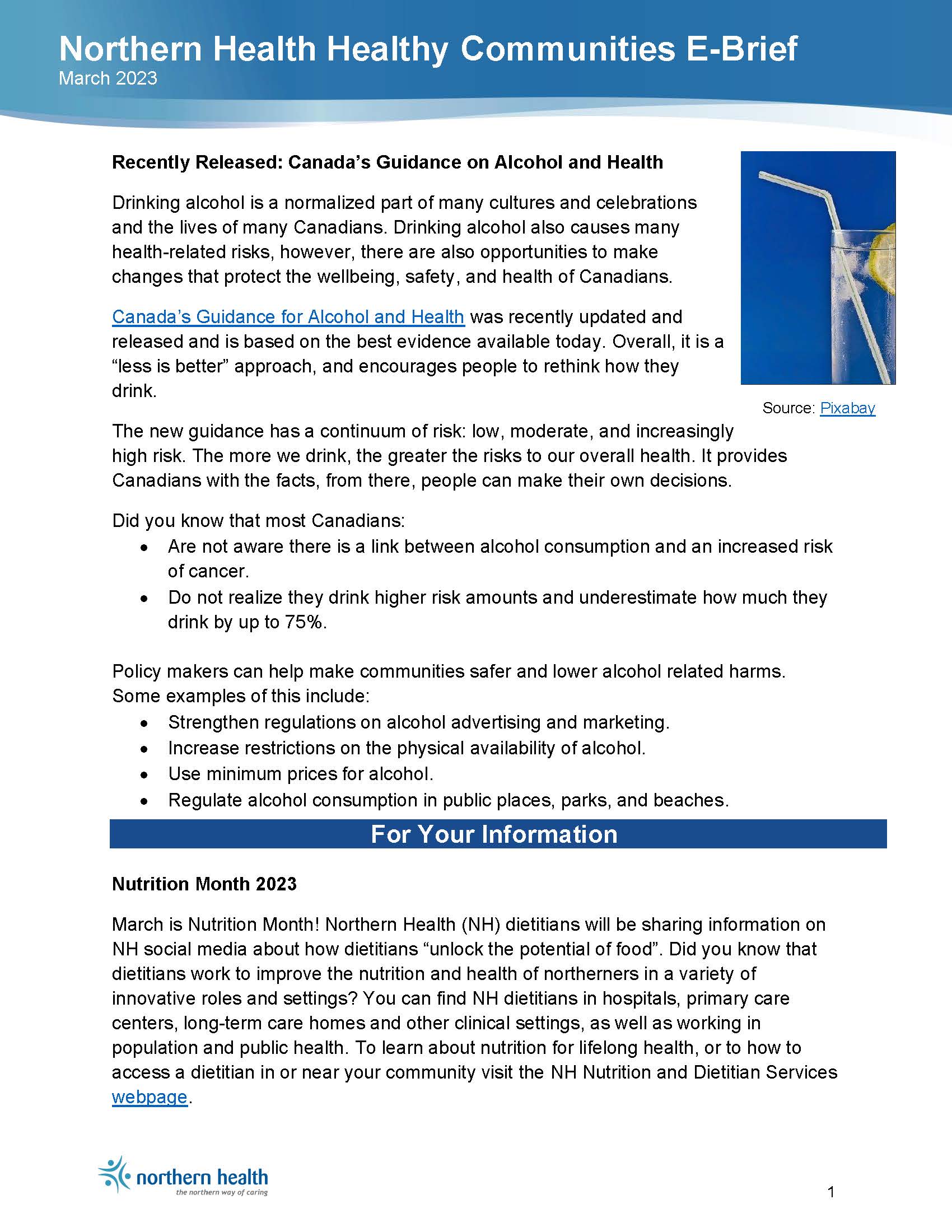 Northern Health Healthy Communities E-Brief - District of New Hazelton