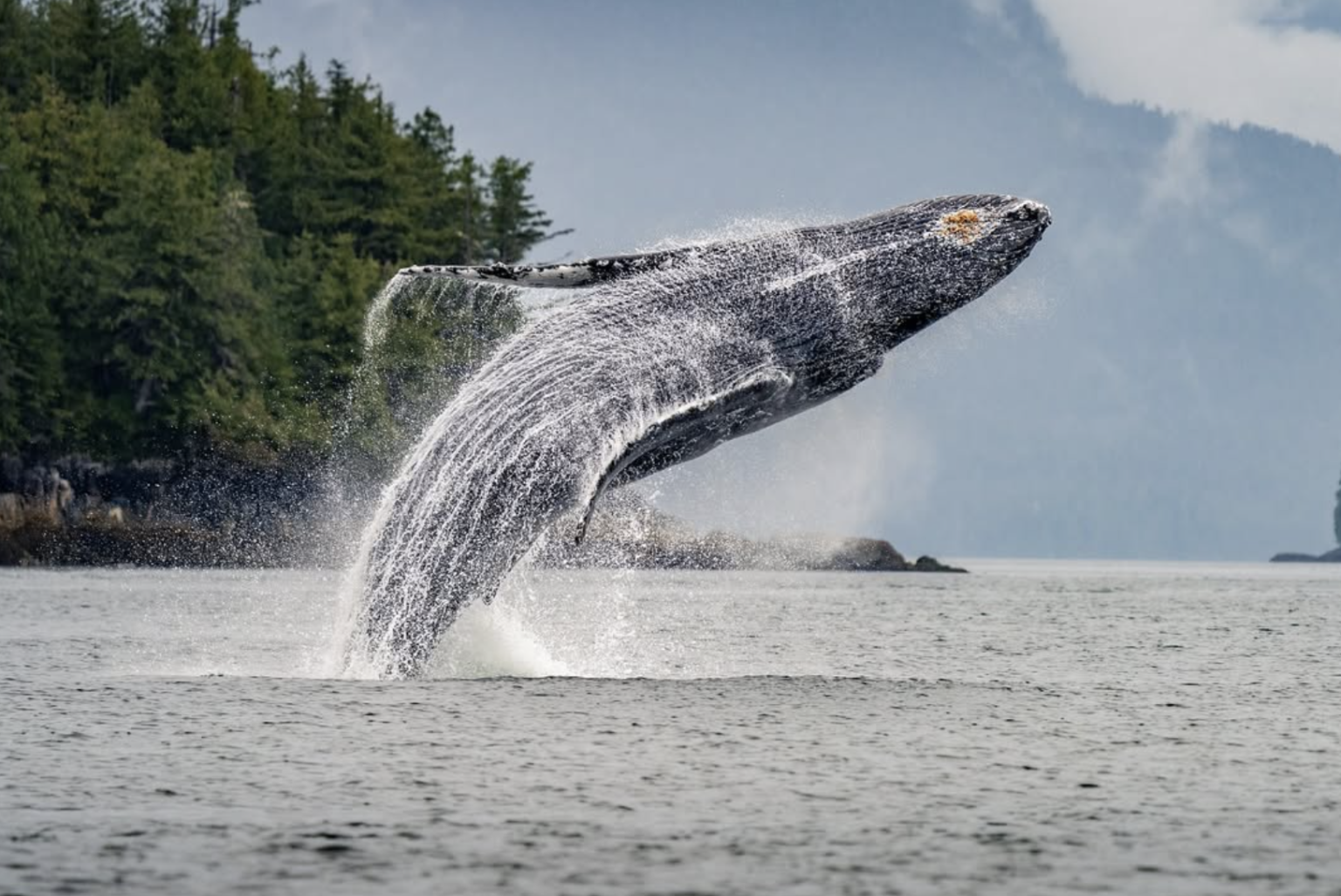 District of New Hazelton